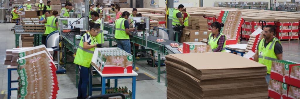 The Future of Packaging in Mexico: Trends and Innovations | NAPS Inc.